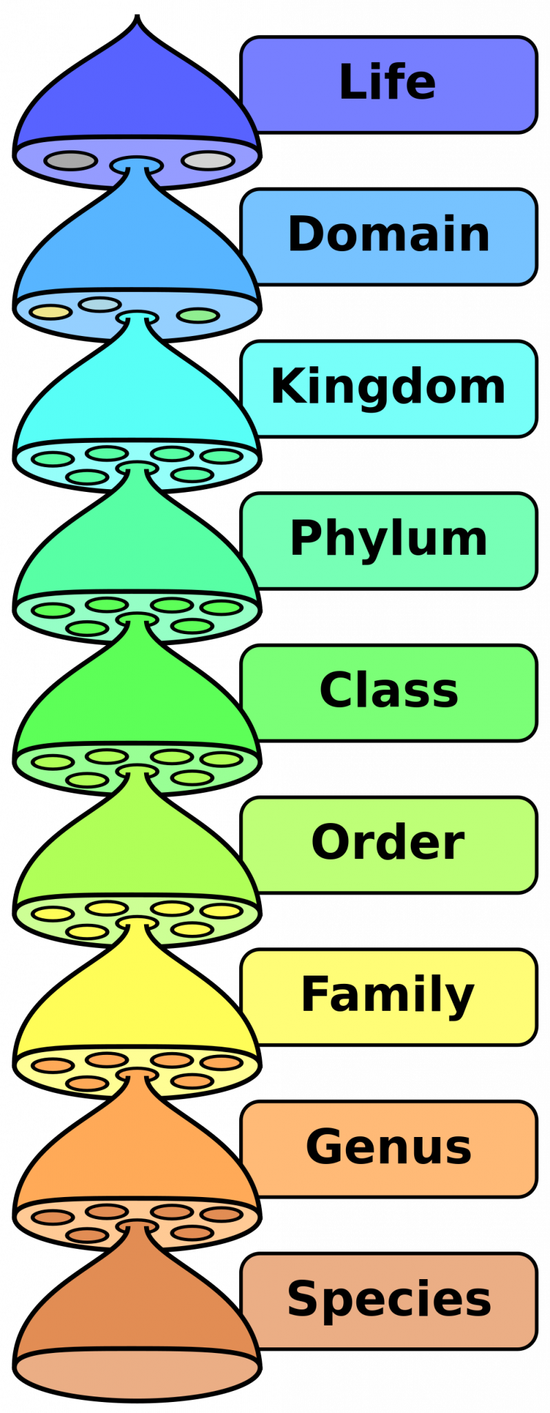 2.4 Diversity of Life – Human Biology – CapilanoU