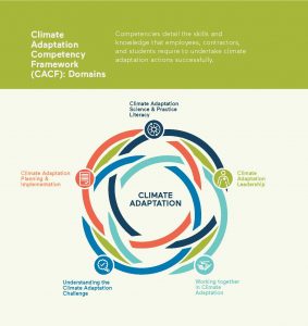 3. COMPETENCIES: Creating a framework to support workforce development ...