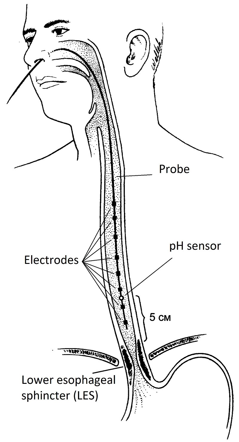 Clinical Conditions – Advanced Anatomy 2nd. Ed.