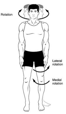 Body Movements – Advanced Anatomy 2nd. Ed.
