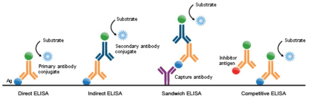 Appendix: Summary of Lab Diagnostics using Immunological Techniques ...