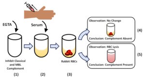 Appendix: Summary of Lab Diagnostics using Immunological Techniques ...
