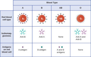 Appendix: Summary of Lab Diagnostics using Immunological Techniques ...