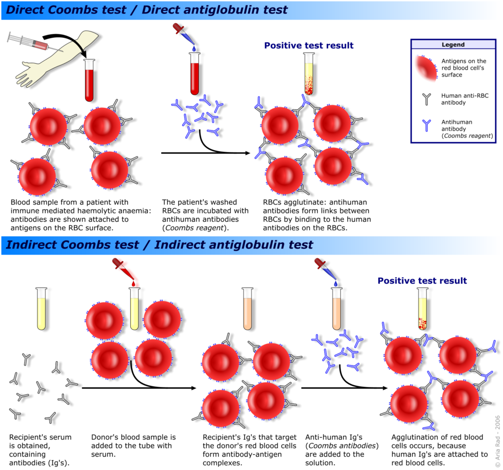 Appendix: Summary of Lab Diagnostics using Immunological Techniques ...