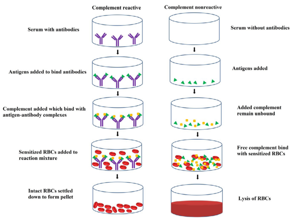 Appendix: Summary of Lab Diagnostics using Immunological Techniques ...