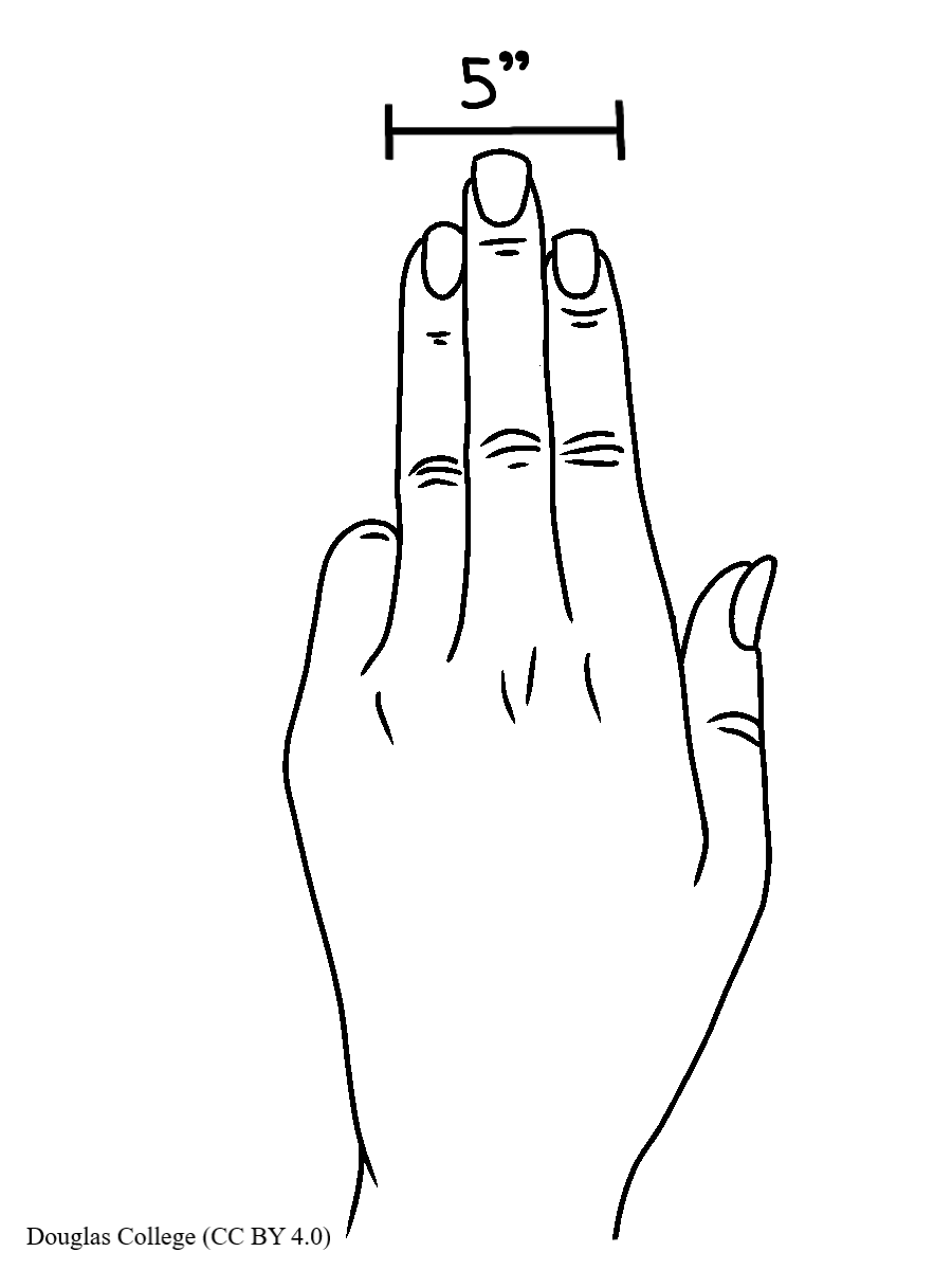 2.1 The Sky Above – Douglas College Astronomy 1105