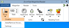 Magnifiers – Assistive Technology User Guides