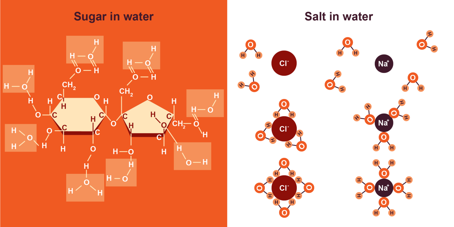 Water is a versatile solvent – Chemistry for Biology 1190 Students