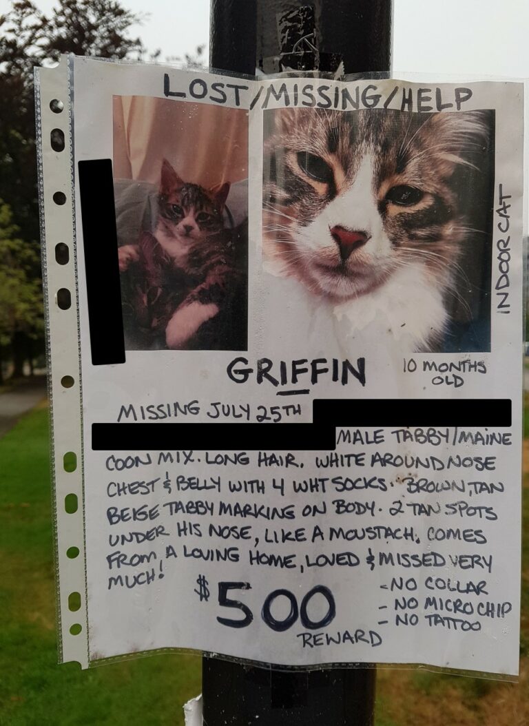 Contract Law in Canada Part I: Creating a Contract – Foundations of ...