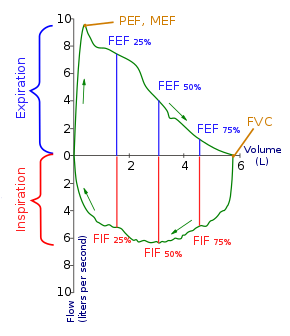 Respiratory Techniques – Lab Techniques in Exercise Physiology