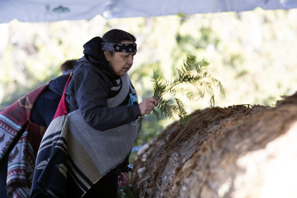 Section 1: Introduction to Indigenous Peoples – The Capilano University ...