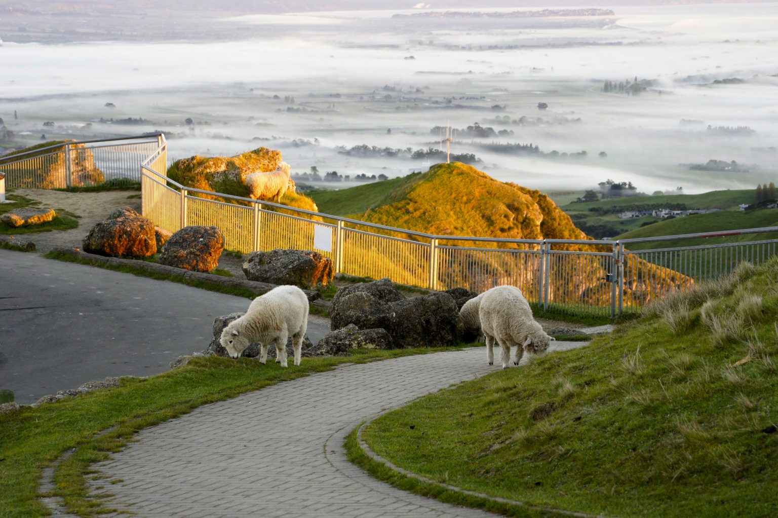 Constructive Disruption – Building Resilient Rural Communities