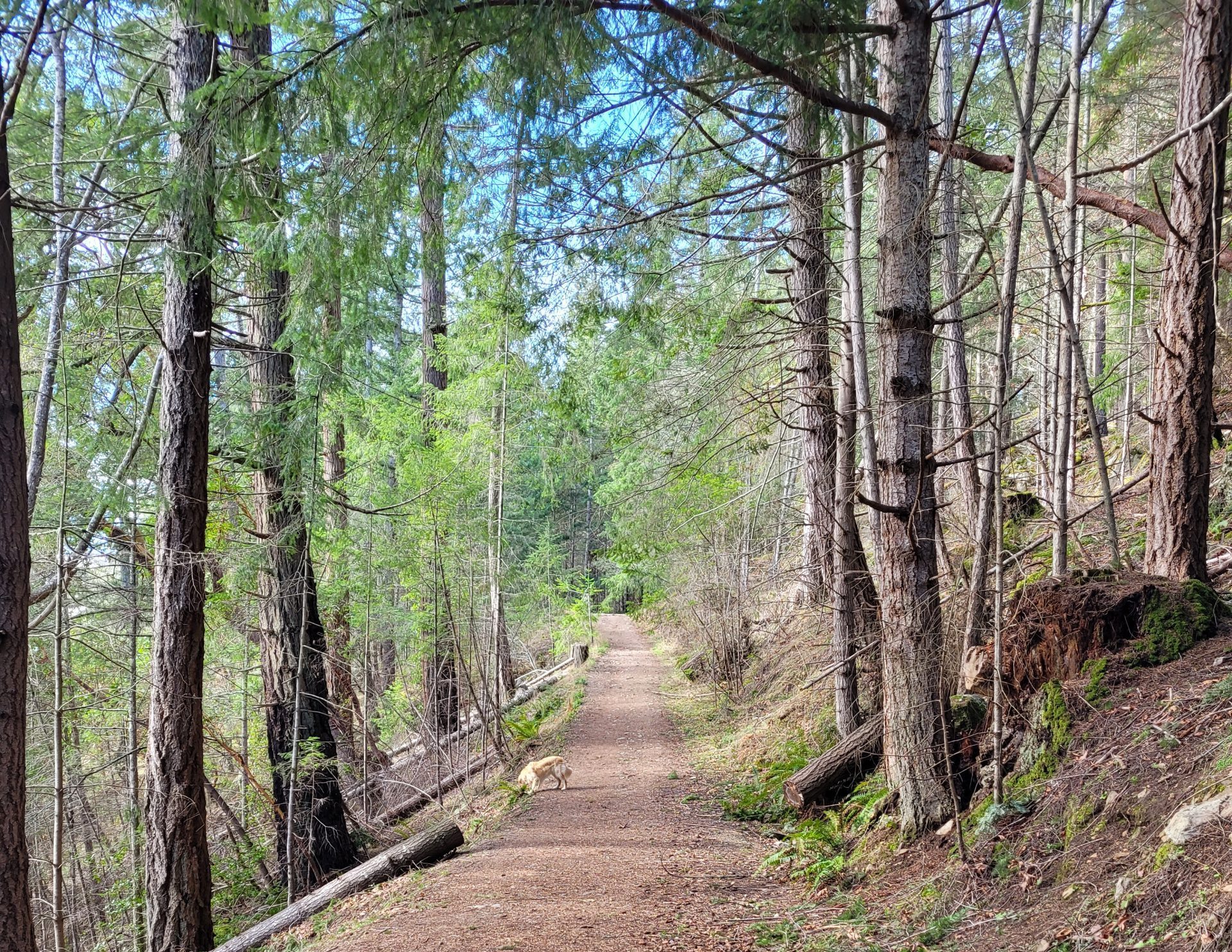 Chapter 10: The Pathway Forward – Building Resilient Rural Communities