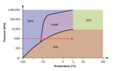 Practice Exercises – Foundations of Chemical and Biological Engineering I