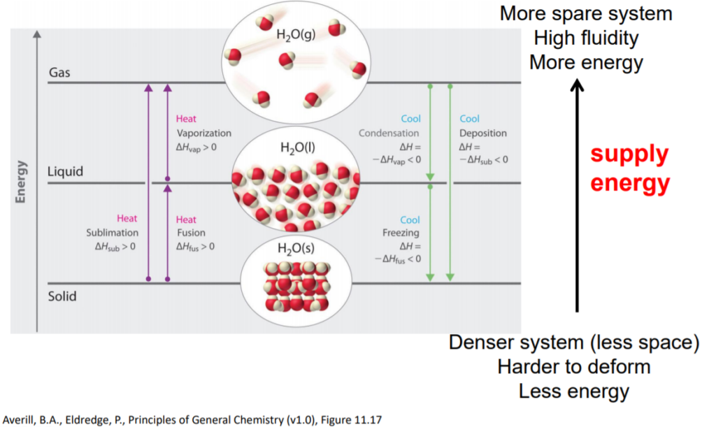 Phase Diagram – Foundations of Chemical and Biological Engineering I