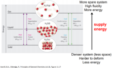 Phase Diagram – Foundations of Chemical and Biological Engineering I