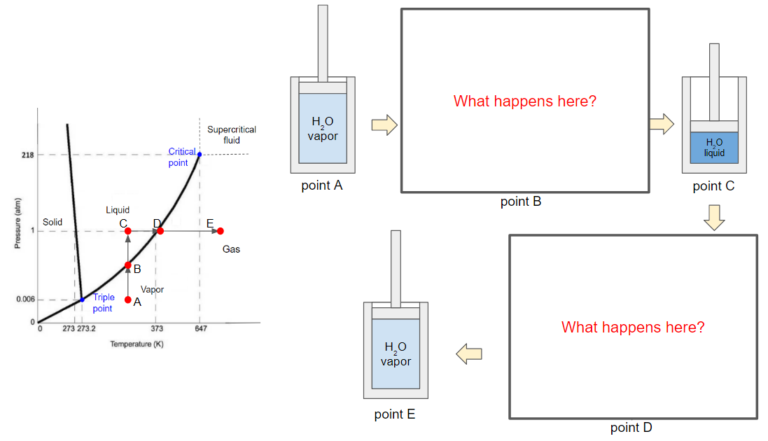 Phase Diagram – Foundations of Chemical and Biological Engineering I