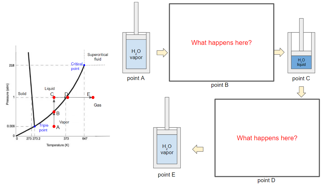 Phase Diagram – Foundations of Chemical and Biological Engineering I