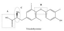 10.2 Functional Groups – CHEM 1114 – Introduction to Chemistry