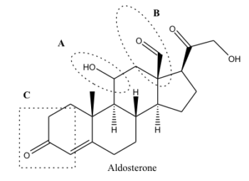 10.2 Functional Groups – CHEM 1114 – Introduction to Chemistry