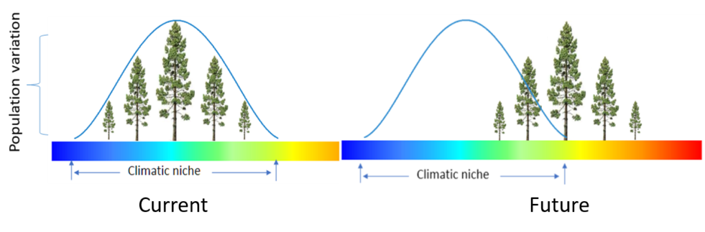 Topic 4.3. Introduction to Climate Response Functions – Climatic ...