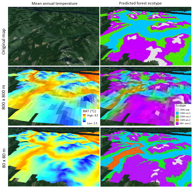 Topic 31 Introduction To Climatena And Climateap Climatic And Ecological Modelling For