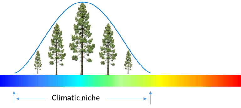 Topic 4.1. Introduction to Niche-based ecological Models – Climatic ...
