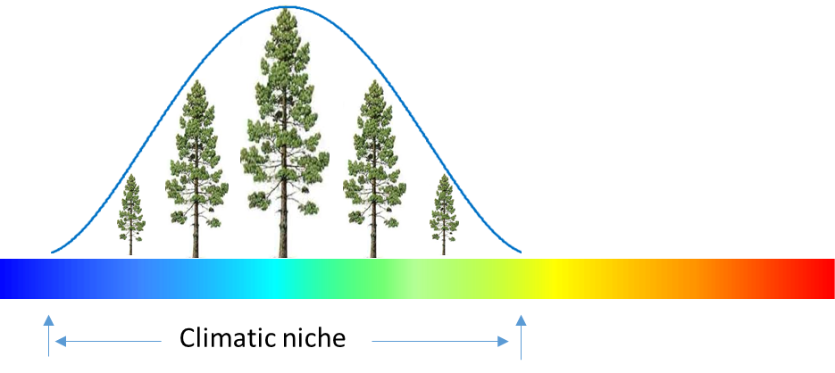 Topic 4.1. Introduction to Niche-based ecological Models – Climatic ...