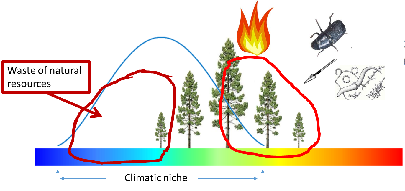 Topic 4.1. Introduction to Niche-based ecological Models – Climatic ...