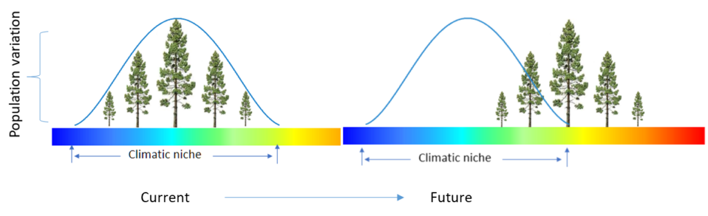 Topic 4.1. Introduction to Niche-based ecological Models – Climatic ...