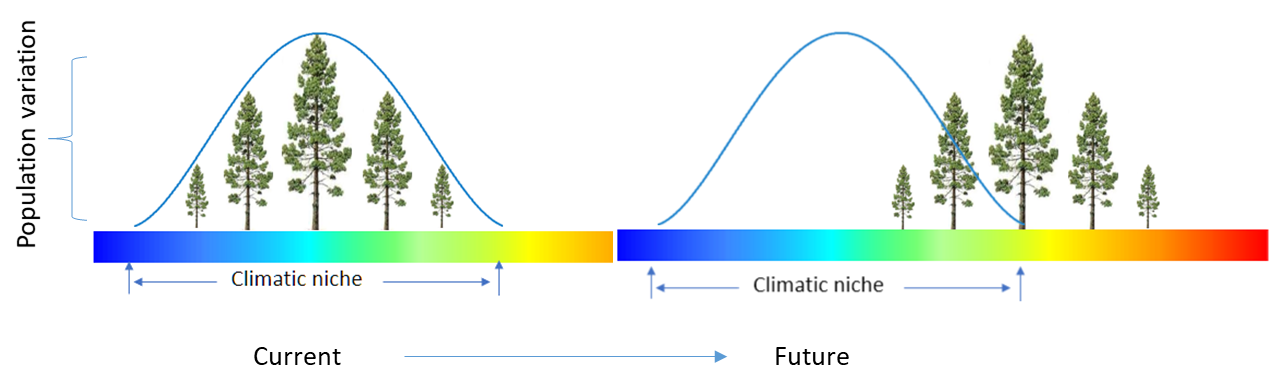 Topic 4.1. Introduction to Niche-based ecological Models – Climatic ...