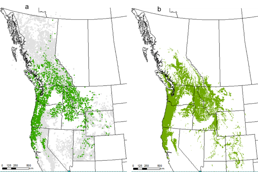 Topic 4.1. Introduction to Niche-based ecological Models – Climatic ...