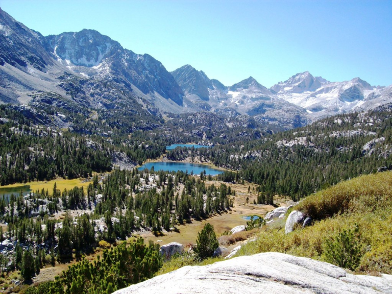 Topic 42 Introduction To Genecology Functions Climatic And Ecological Modelling For Adaptive