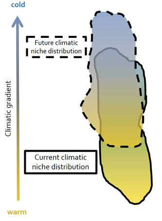 Topic 5.1. Model Interpretation and Applications – Climatic ...