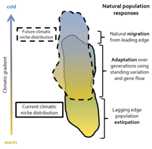 Topic 5.1. Model Interpretation and Applications – Climatic ...