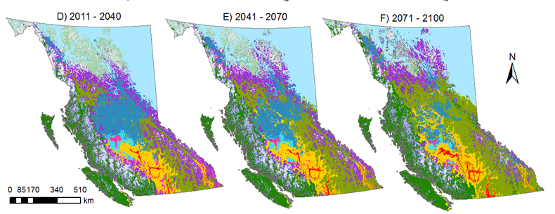 Topic 5.3. Case Studies with Forest ecosystems – Climatic & Ecological ...