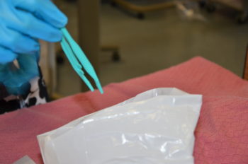 4.5 Simple Dressing Change – Clinical Procedures for Safer Patient Care