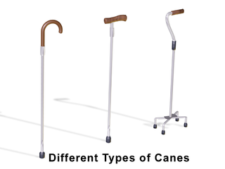 3.10 Assisting a Patient to Ambulate Using Assistive Devices – Clinical ...