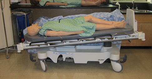 8.9 Removal of a PVAD-Short, Midline Catheter, Percutaneous Non ...