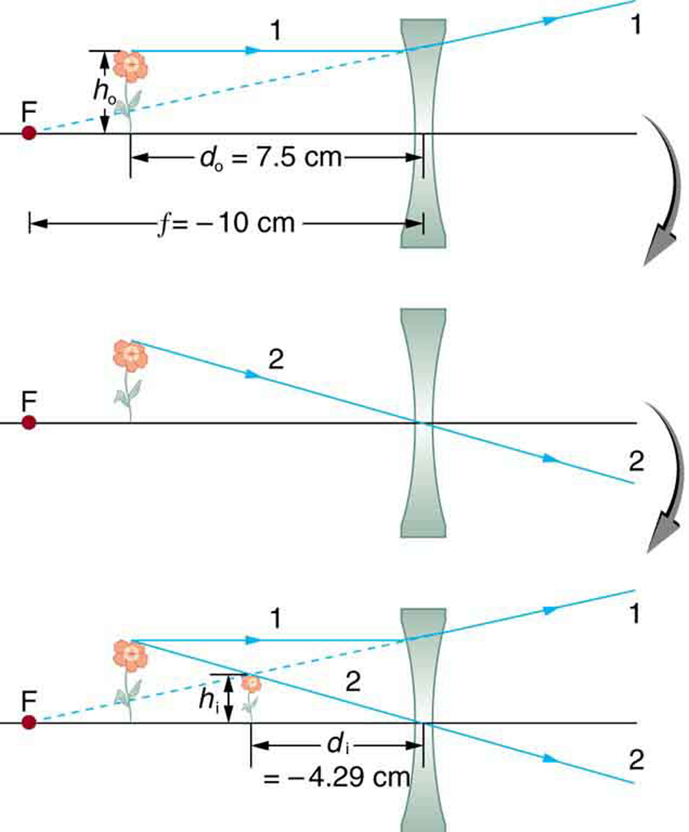 25 6 Image Formation By Lenses College Physics