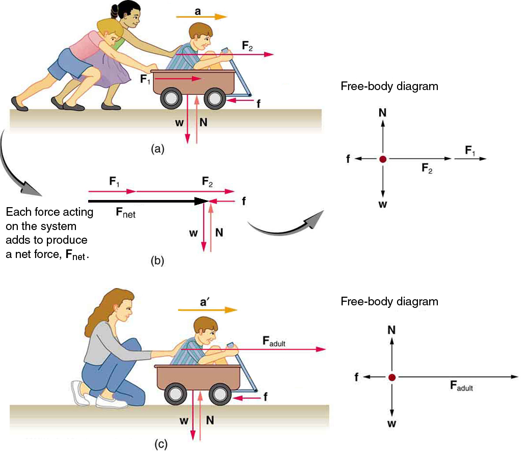4 3 Newton s Second Law Of Motion Concept Of A System College 