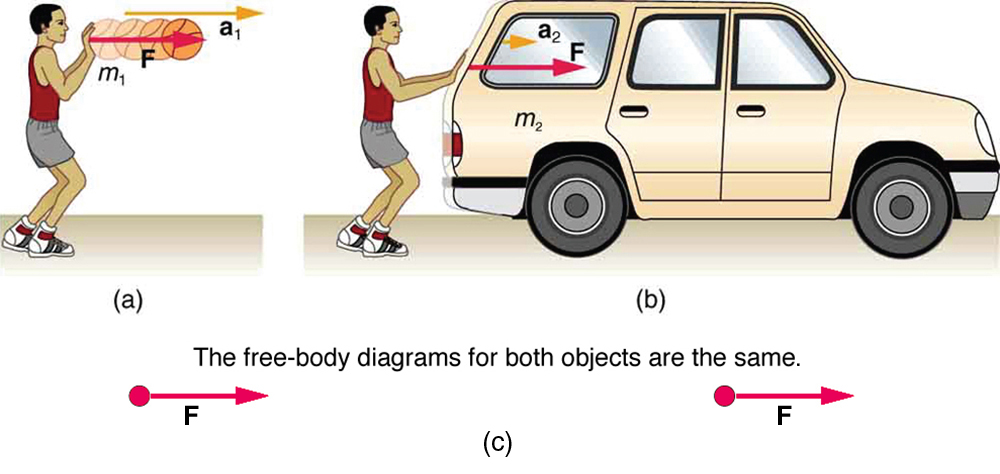 4.3 Newton’s Second Law of Motion: Concept of a System – College ...