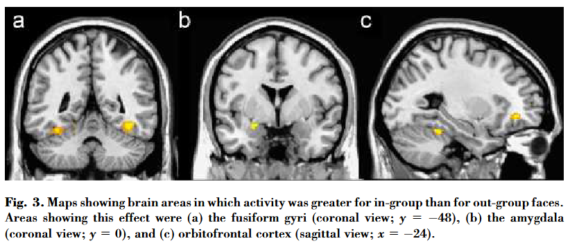 Group Identification and The Brain – Reconciling Divided Nations