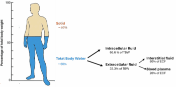 Unit 2: The Chemistry of Water – Douglas College Human Anatomy ...