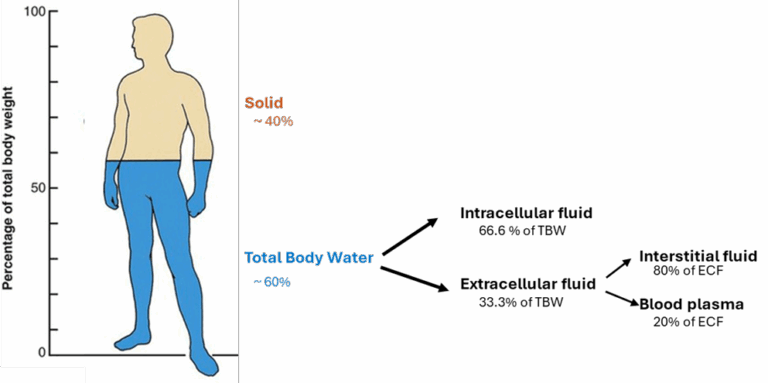 Unit 2: The Chemistry of Water – Douglas College Human Anatomy ...