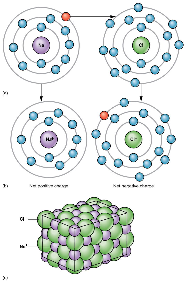 Unit 1: Atoms and Molecules – Douglas College Human Anatomy ...