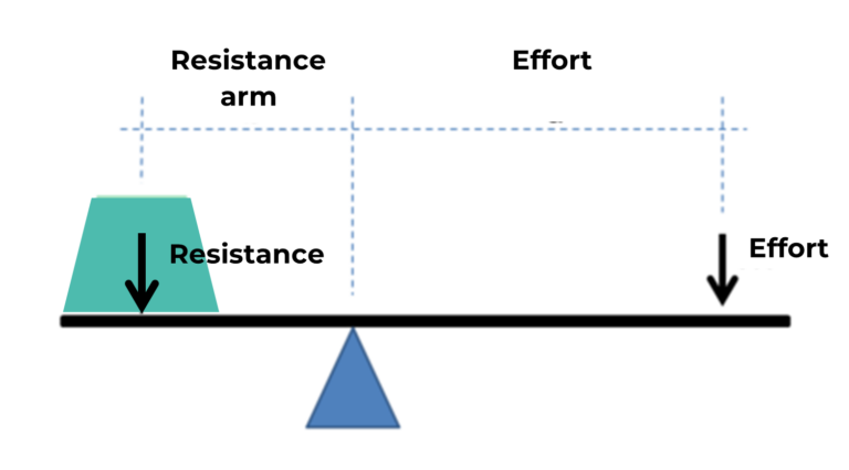 Unit 14: Biomechanics – Douglas College Human Anatomy & Physiology I ...
