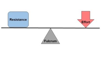 Unit 14: Biomechanics – Douglas College Human Anatomy & Physiology I ...