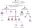 Unit 3: The Lymphatic System, Resistance & Immunity – Douglas College ...