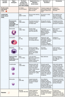 Unit 3: Blood – Douglas College Human Anatomy & Physiology II (4th ed.)